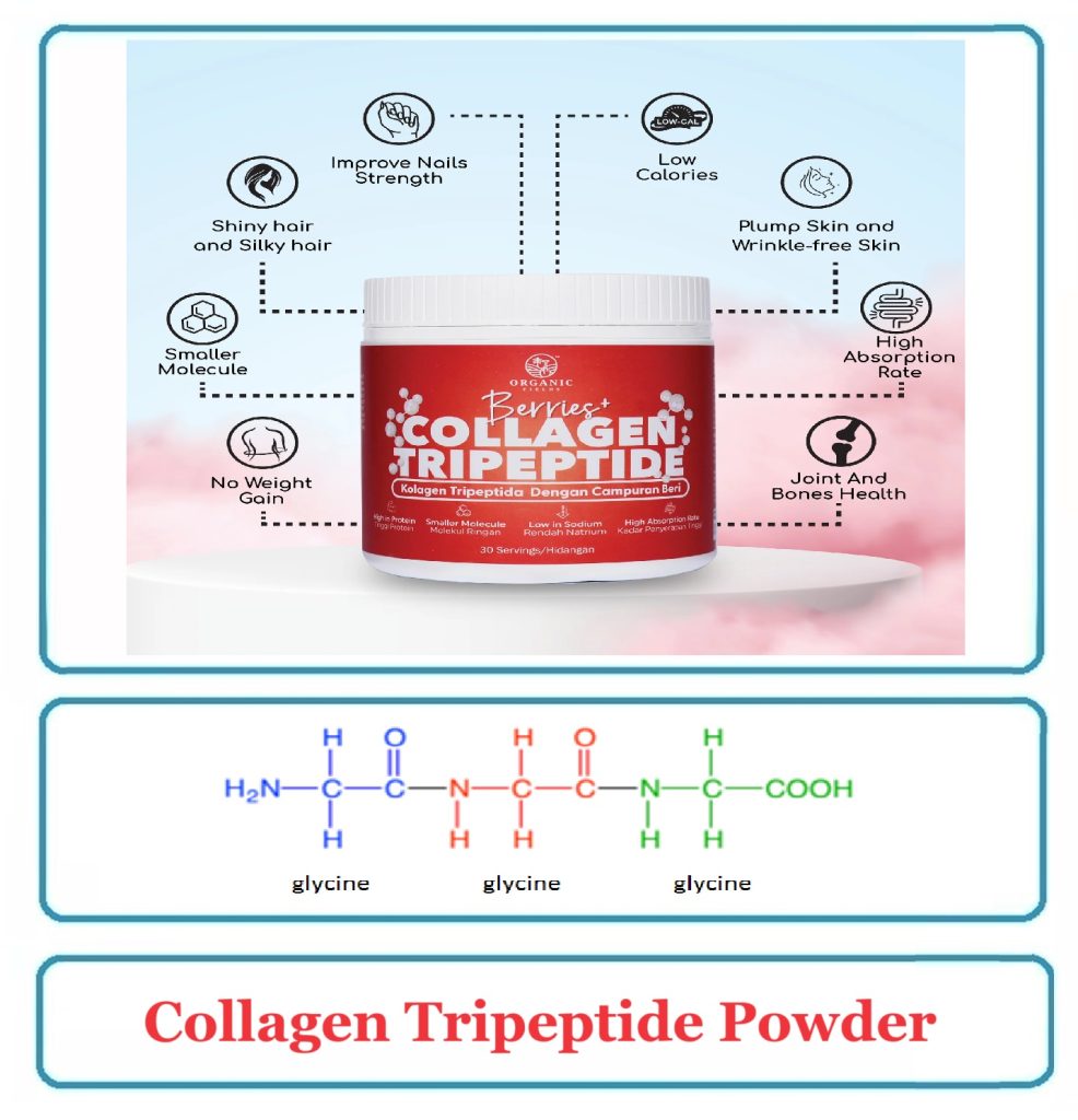 Collagen Tripeptide: The Key to Skin Rejuvenation