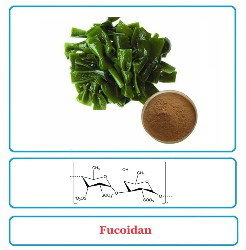 | Pure Ingredients US High Quality Fucoidan: Unleash the Power of ...