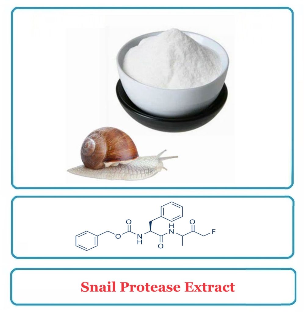 Snail Slime Extract Powder