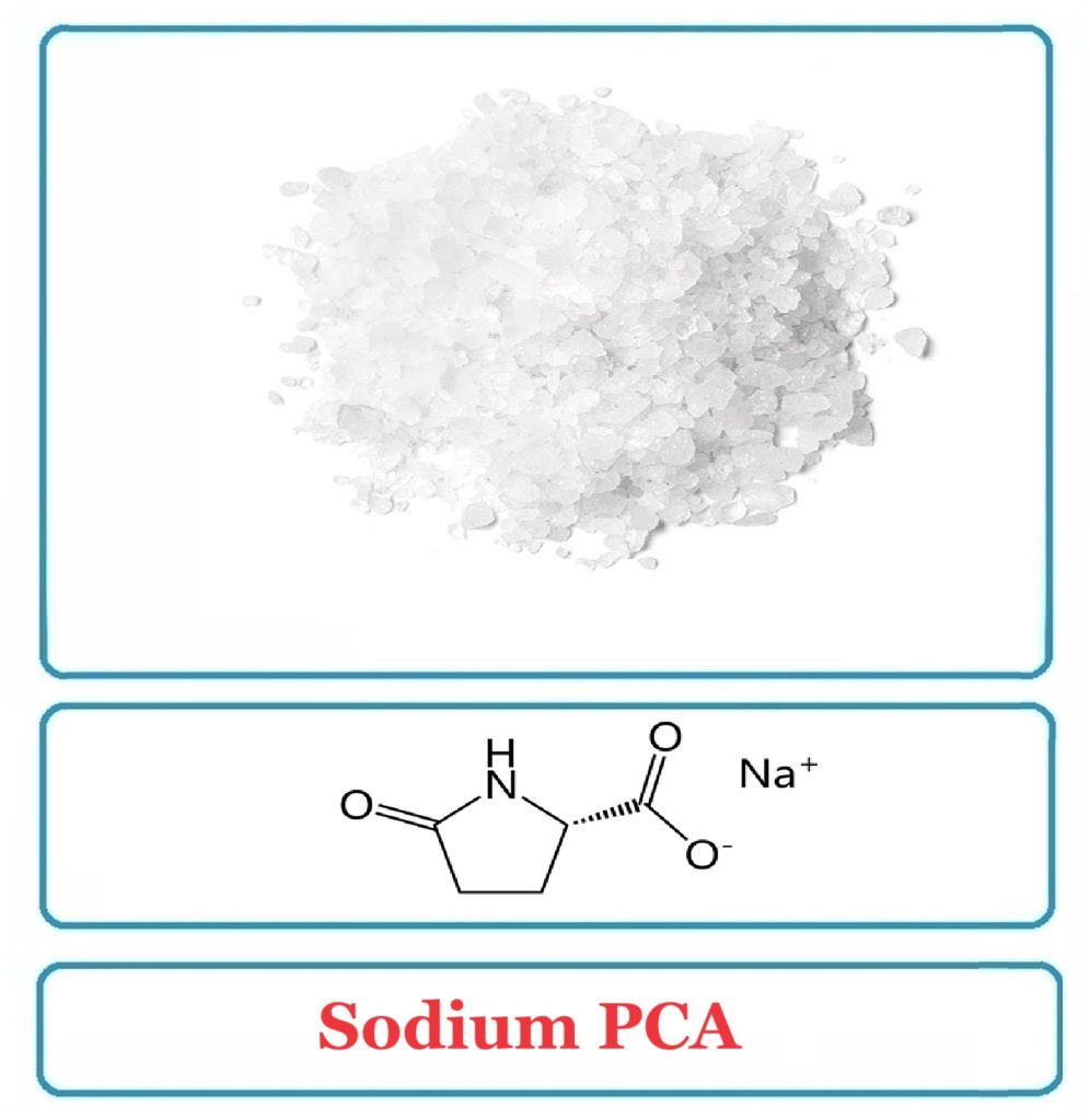 Sodium PCA: Boost Your Skin’s Hydration Naturally